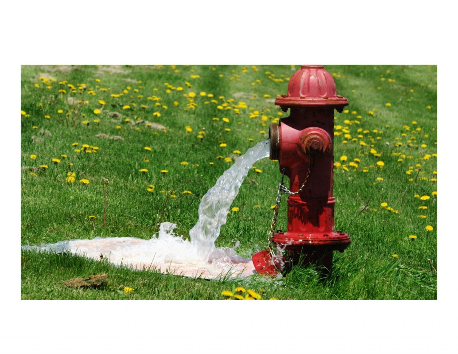 The Authority of the Borough of Charleroi